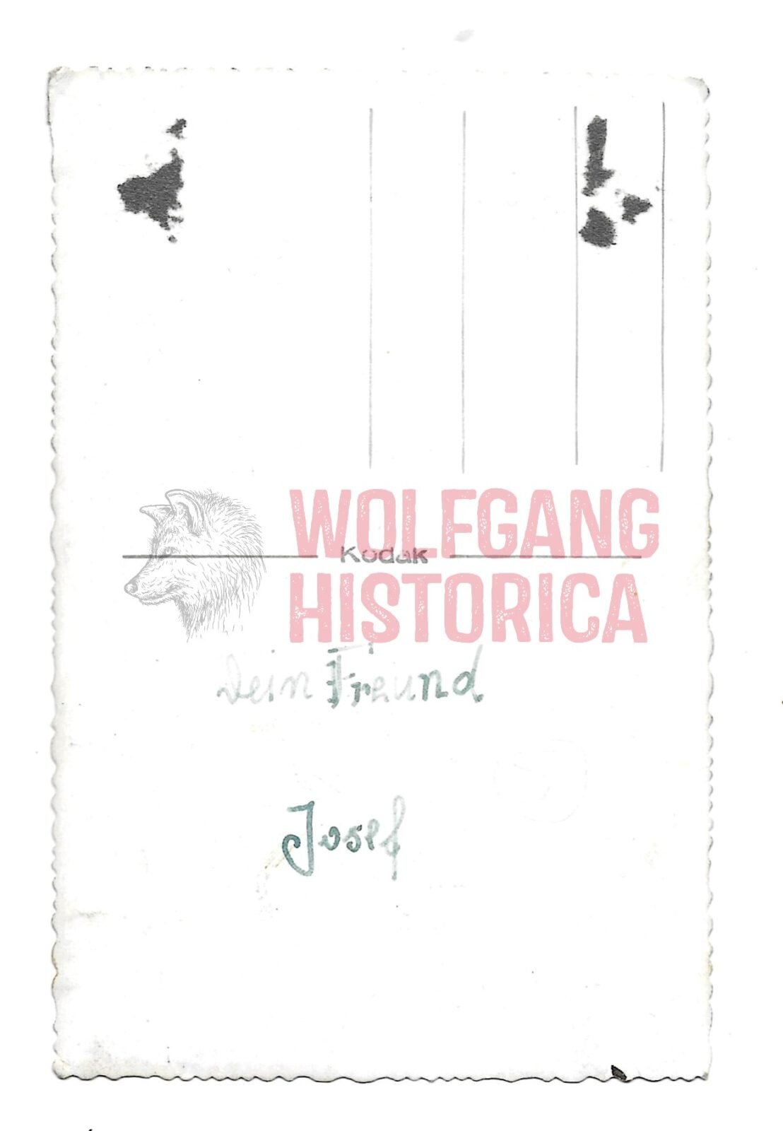 Waffen-SS Portrait with Totenkopf Tab – Wolfgang Historica