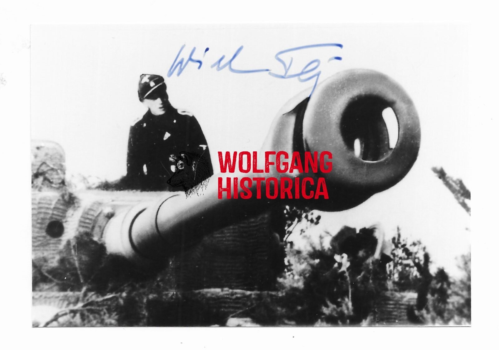 Willi Fey – schwere SS-Panzer-Abteilung 502 (Battle of Berlin ...