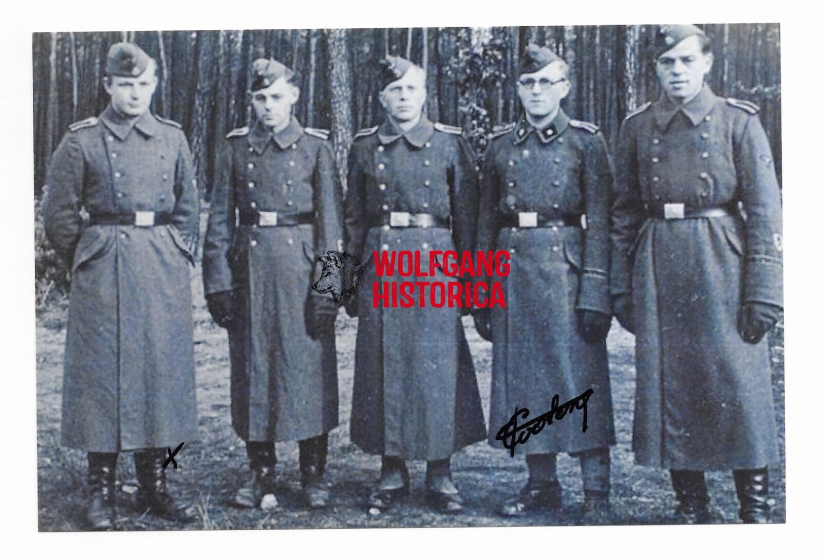 Dries Coolens – 27. SS-Freiwilligen-Grenadier-Division “Langemarck ...