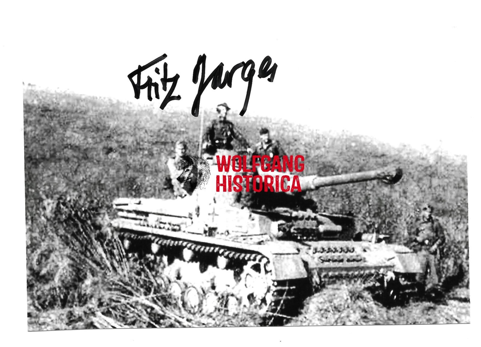 Fritz Darges – SS-Panzer-Regiment 5 “Wiking” & Personal Adjutant of ...