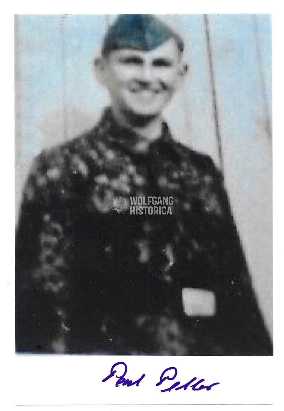Paul Peller – 10. SS-Panzer-Division “Frundsberg” & “Horst Wessel ...