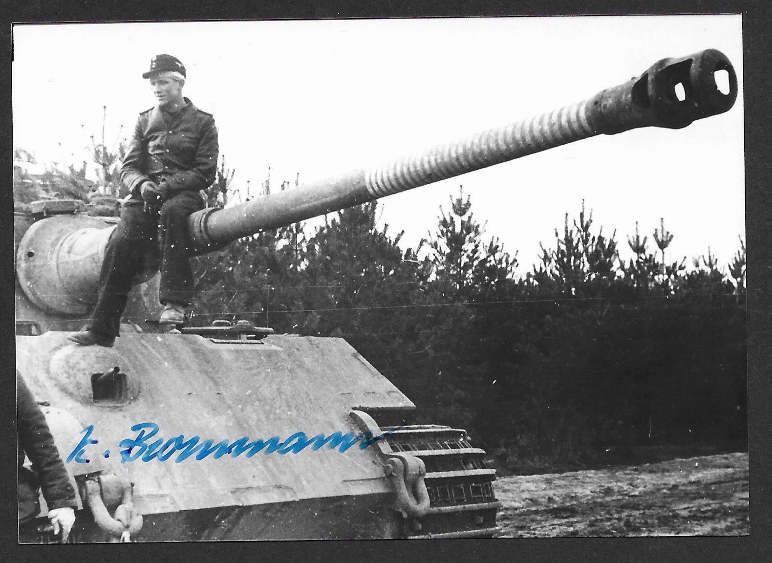 Karl Brommann – schwere SS-Panzer-Abteilung 503 (King Tiger & Battle of ...